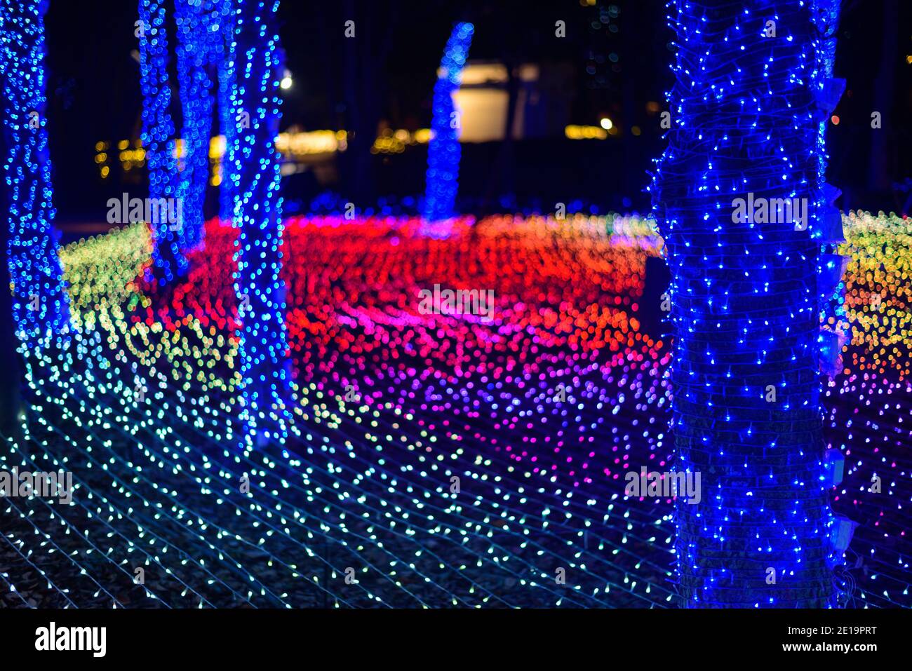 Lighting decorate on the tree in lighting festival showing countdown ...
