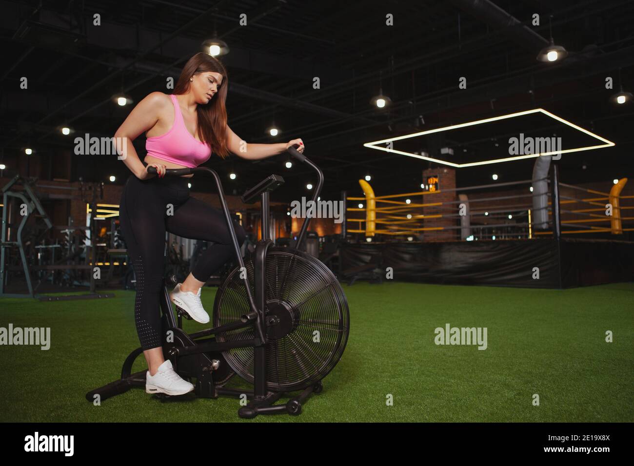 Beautiful focused young plus size woman exercising on air bike ...