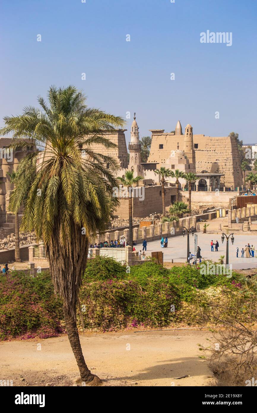 Egypt, Luxor, Luxor Temple, View of Luxor Temple Stock Photo - Alamy