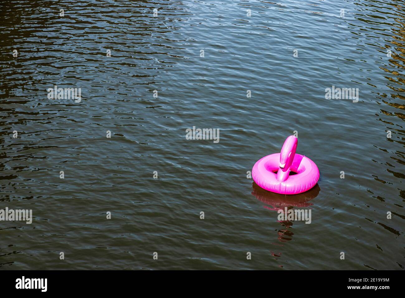 Pink float with swan shape floating on the water in Hamburg, Germany ...