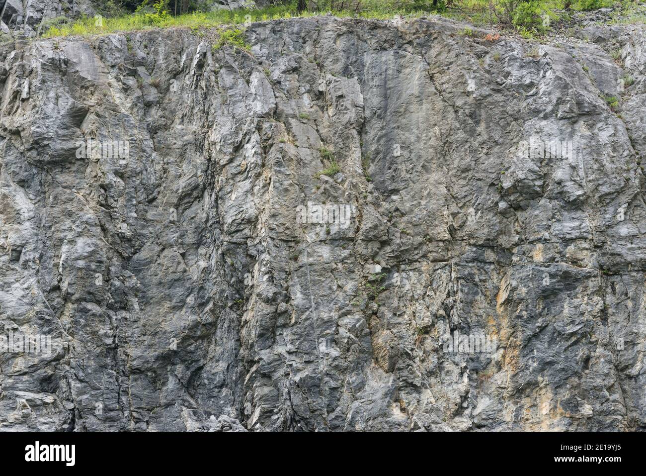 Weathered rock face texture in old stone pit with parts of green. Aged ...