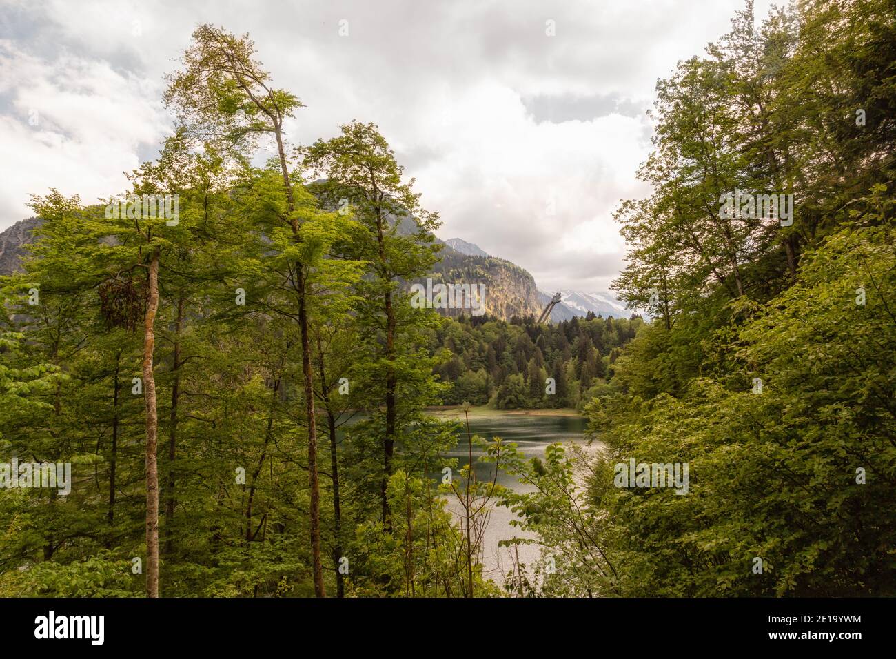 Lake through the trees hi-res stock photography and images - Alamy