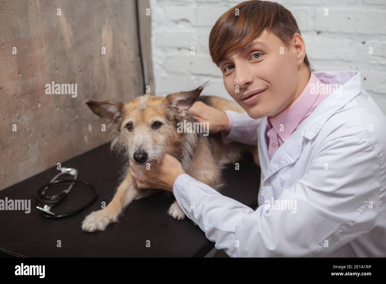 Cheerful male veterinarian smiling to the camera, petting cute mixed ...