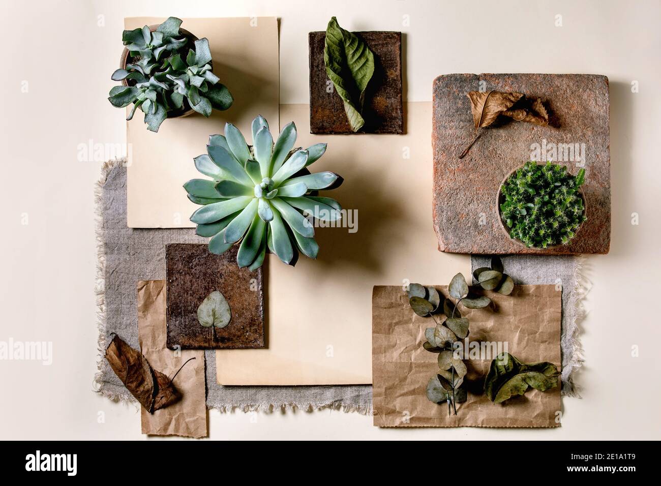Creative layout squares with plants Stock Photo - Alamy