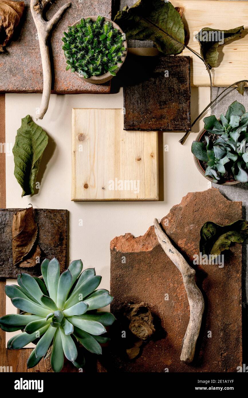 Creative layout squares with plants Stock Photo - Alamy