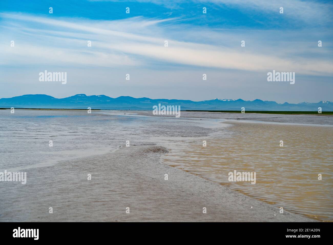 Fraser river delta hi-res stock photography and images - Alamy