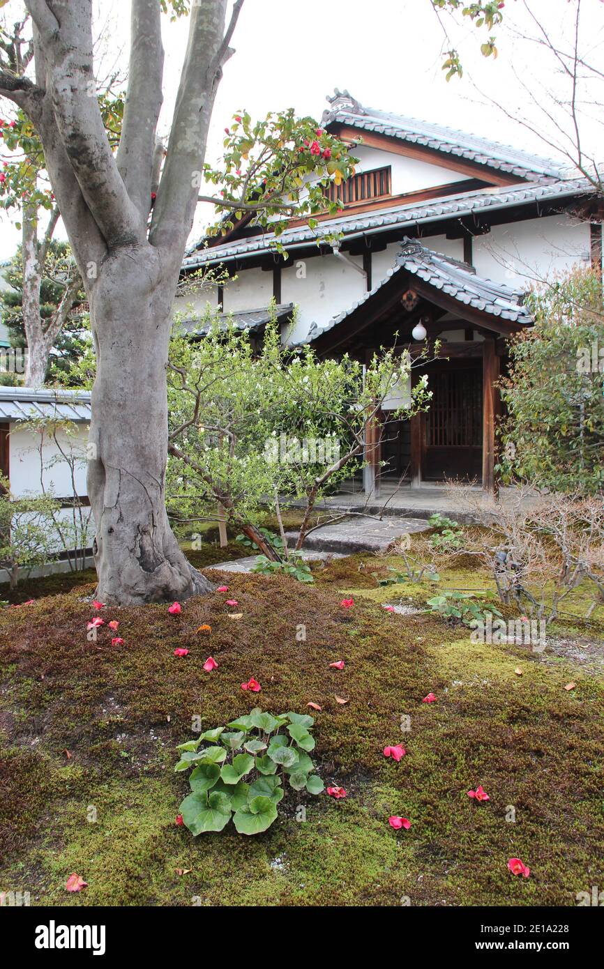 entoku-in temple in kyoto in japan Stock Photo - Alamy
