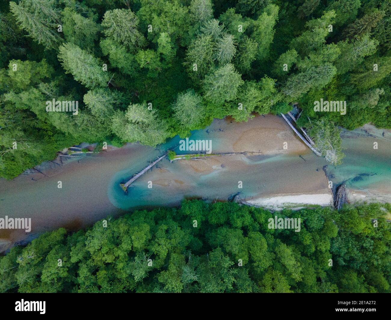 Aerial view of sockeye salmon spawning grounds in an alpine creek in ...