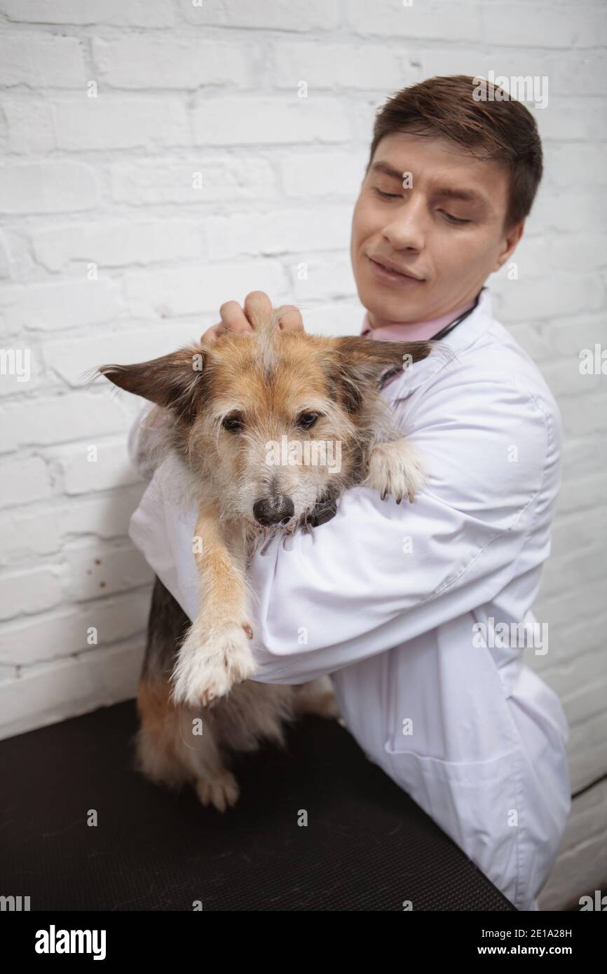 Adopt a scientist hi-res stock photography and images - Alamy