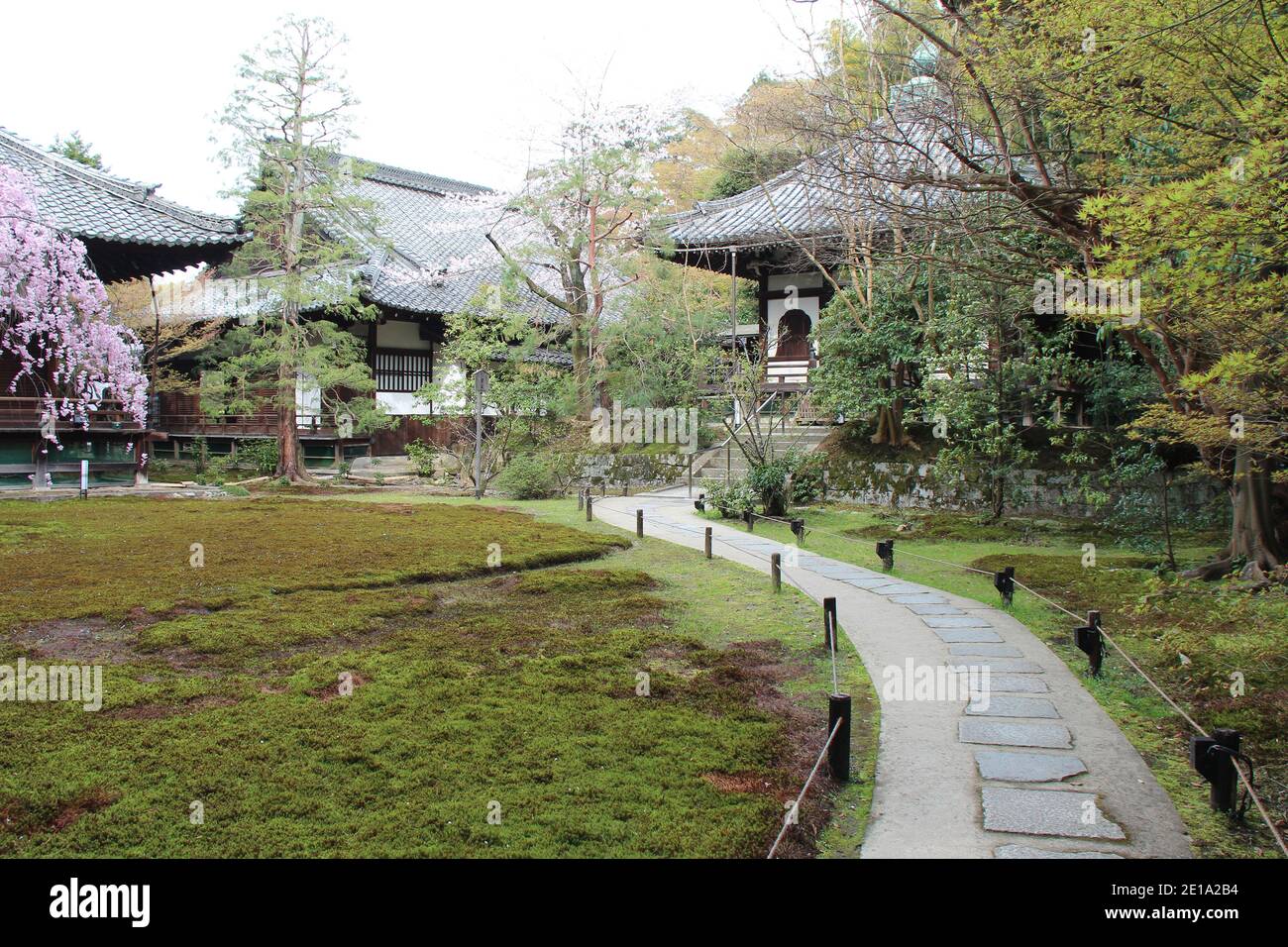 shoren-in temple in kyoto in japan Stock Photo - Alamy