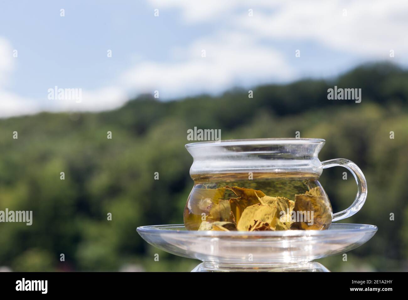 Cup of green tea in a blurred background. The background was a forest ...