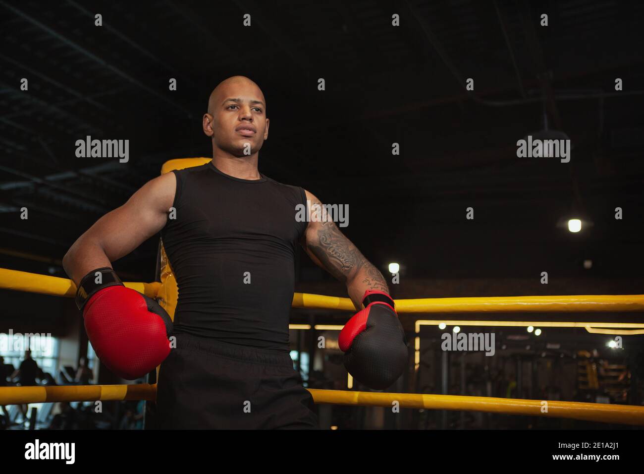 Confident focused male boxer looking away, concentrating before his ...