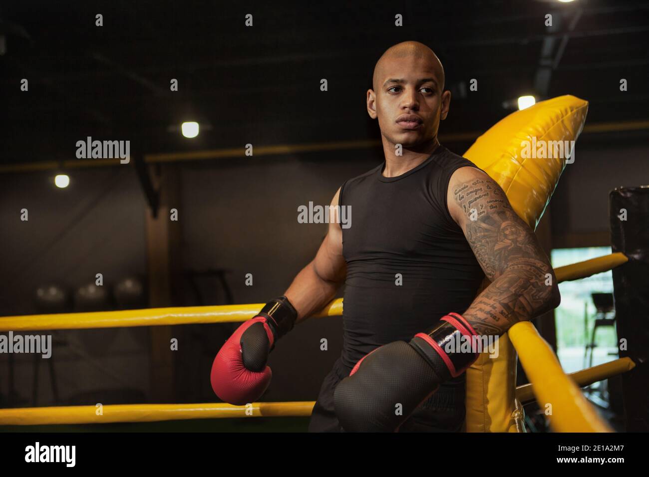 Focused handsome African male boxing fighter preparing for fighting ...