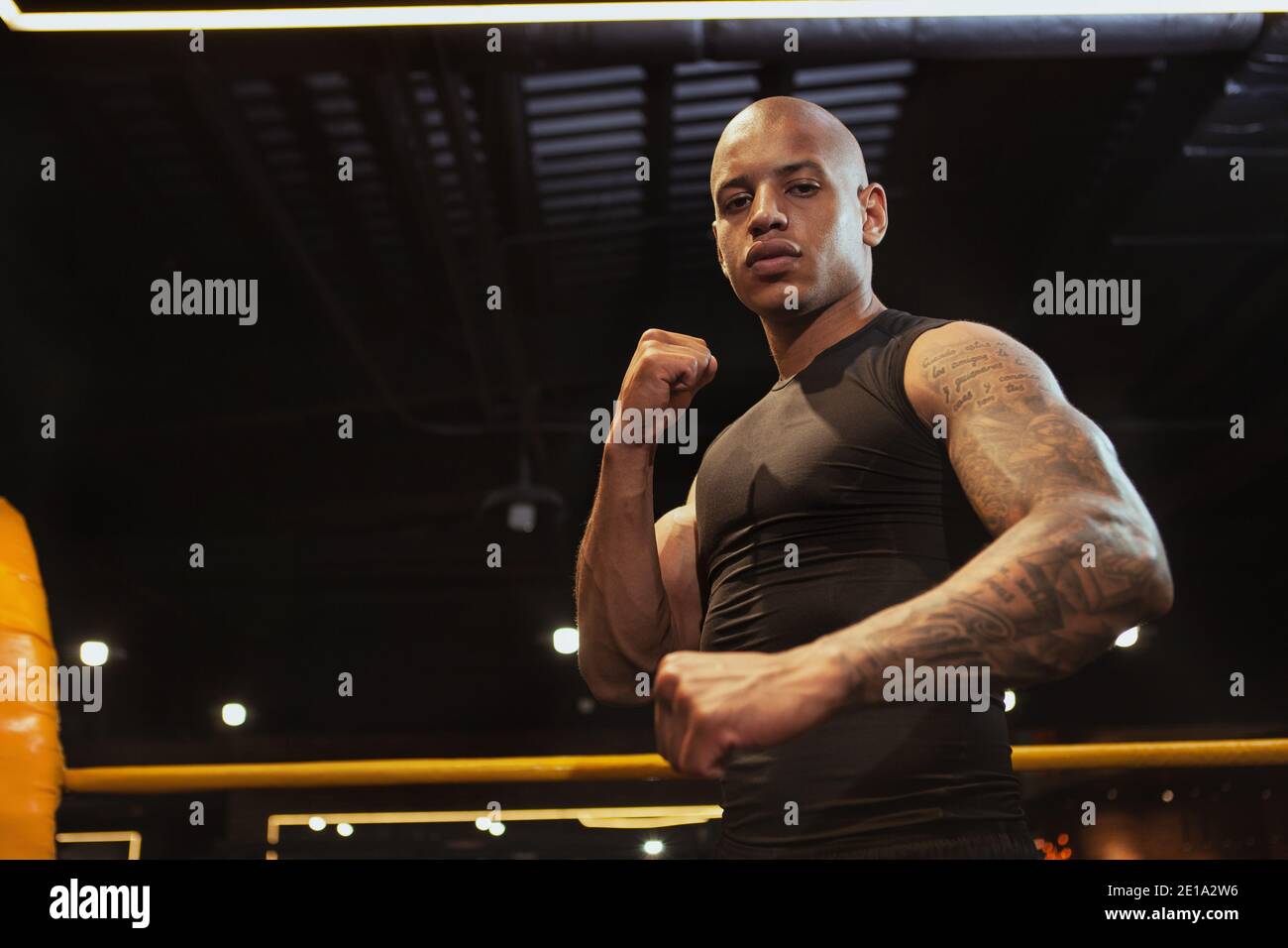 Handsome African boxing fighter standing in fighting stance with his ...