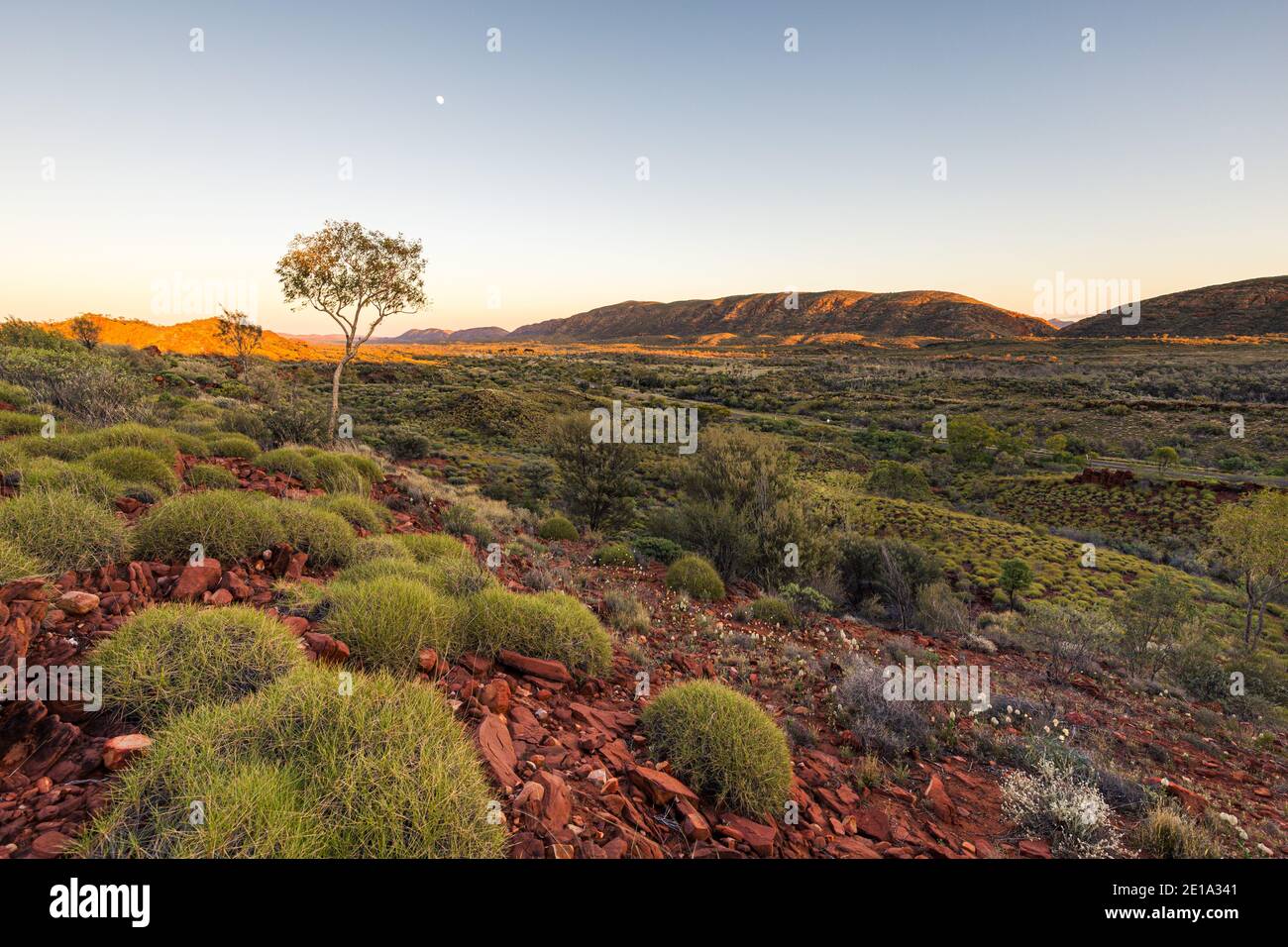 Macdonnell ranges australia hi-res stock photography and images - Alamy