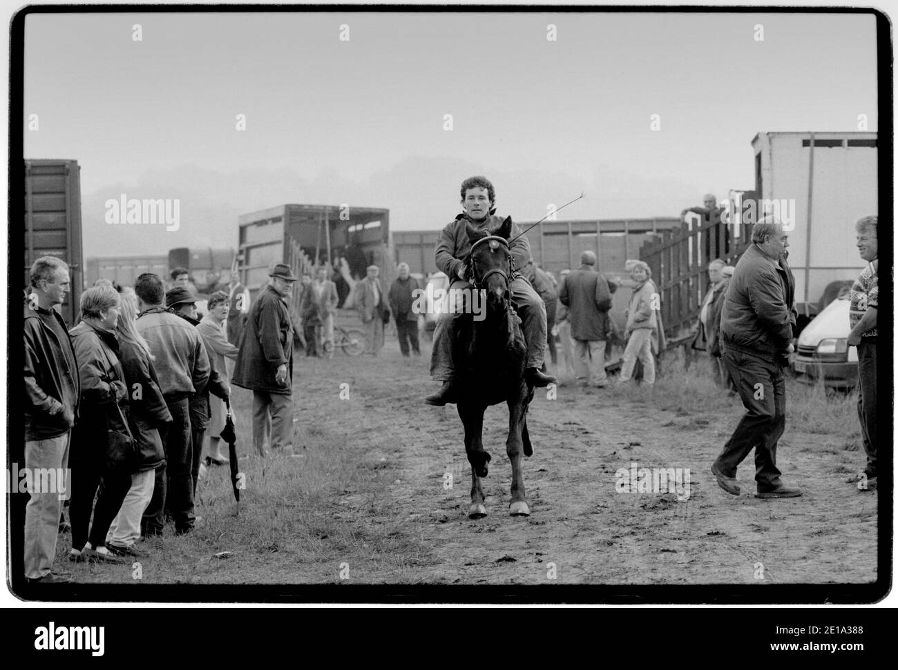 Gypsy horse race hi-res stock photography and images - Alamy
