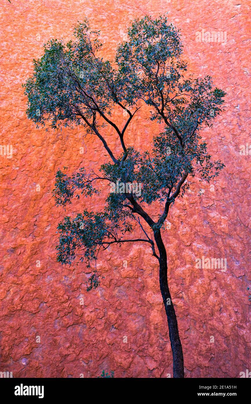 Uluru texture hi-res stock photography and images - Alamy