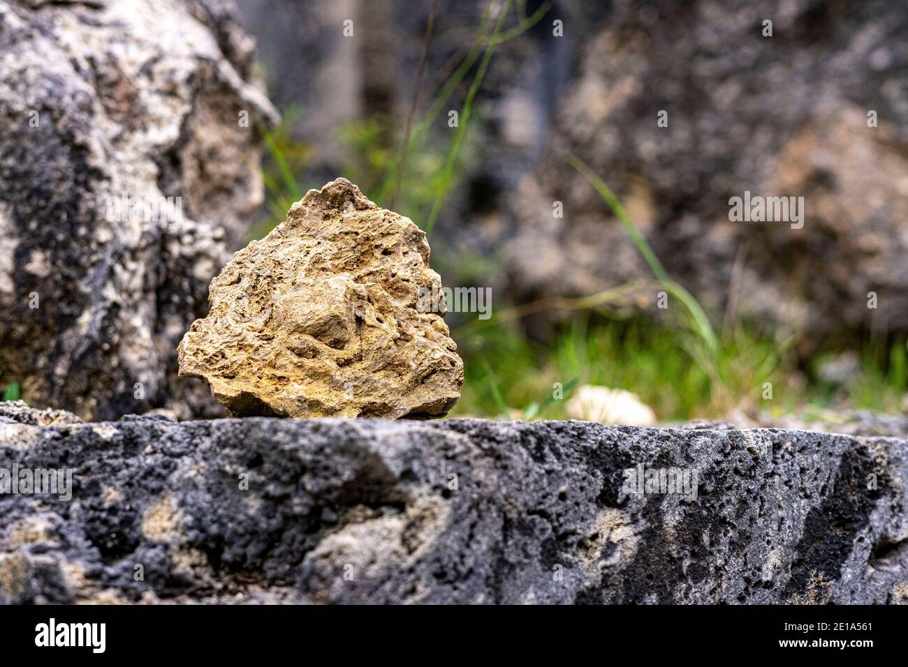 Raw travertine texture hi-res stock photography and images - Alamy