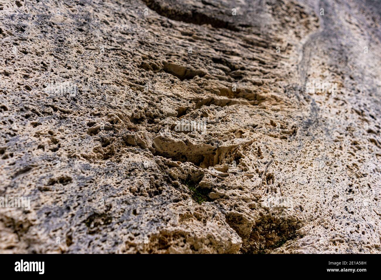 Raw travertine texture hi-res stock photography and images - Alamy