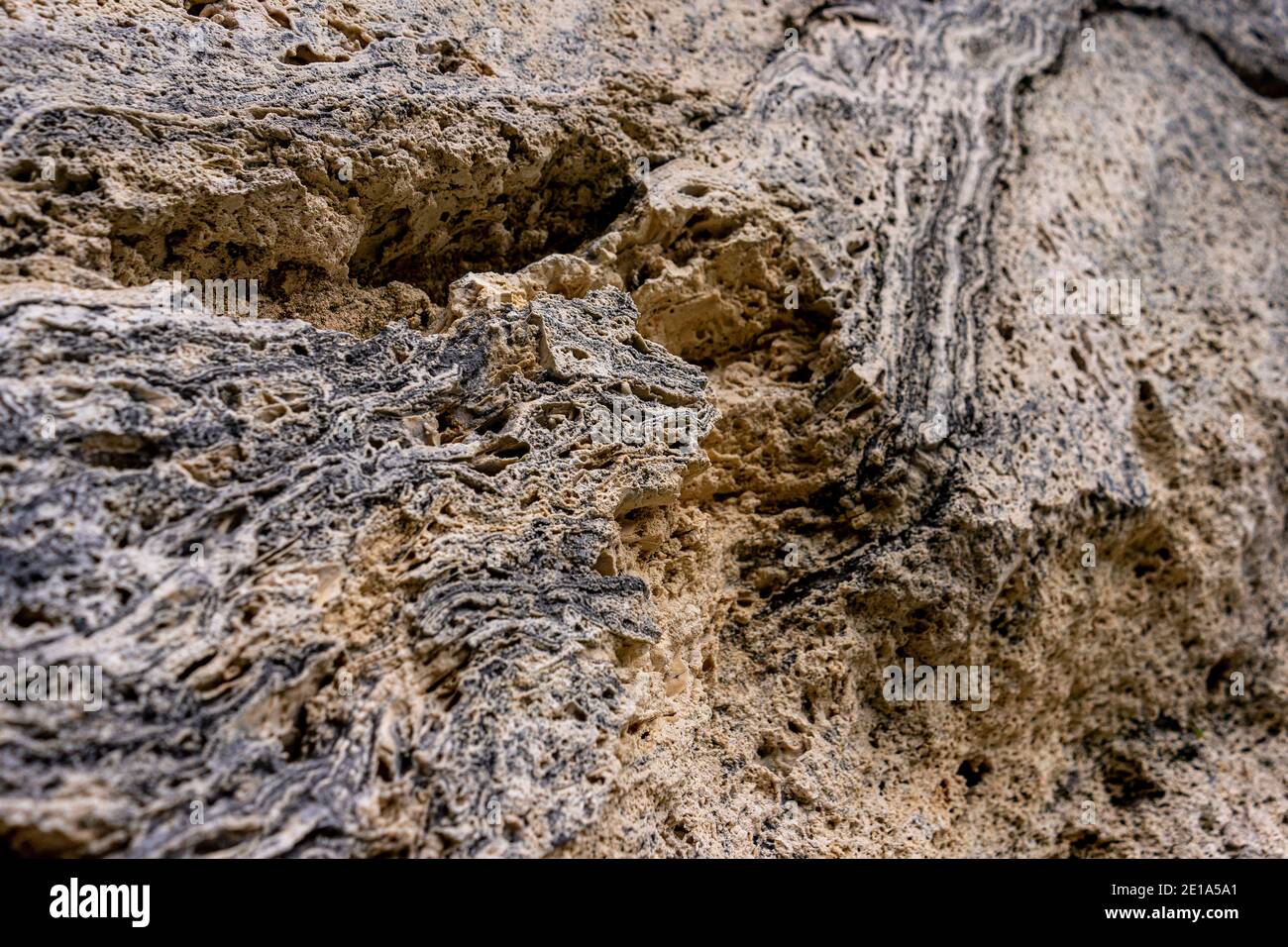 Raw travertine texture hi-res stock photography and images - Alamy