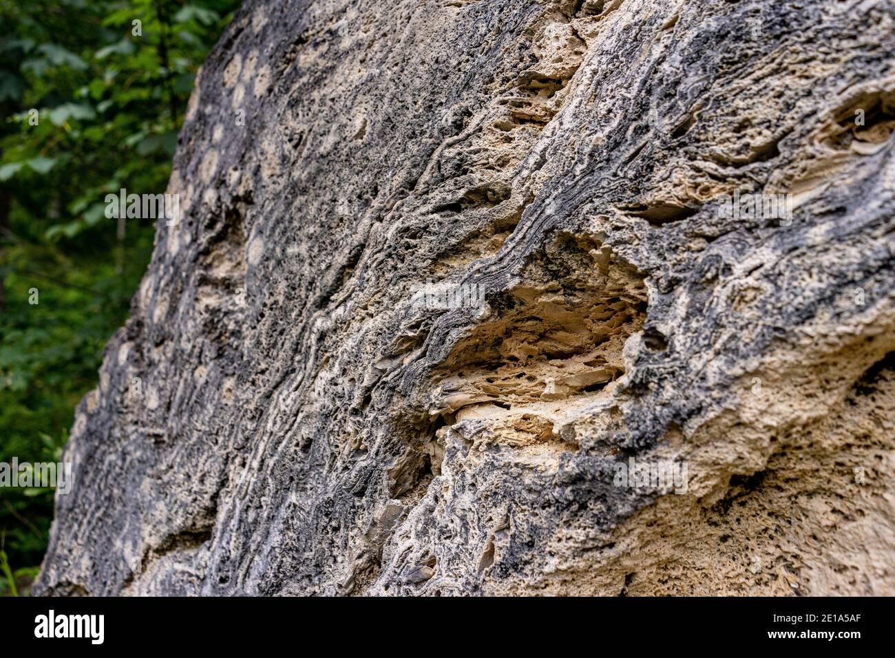 Raw travertine texture hi-res stock photography and images - Alamy