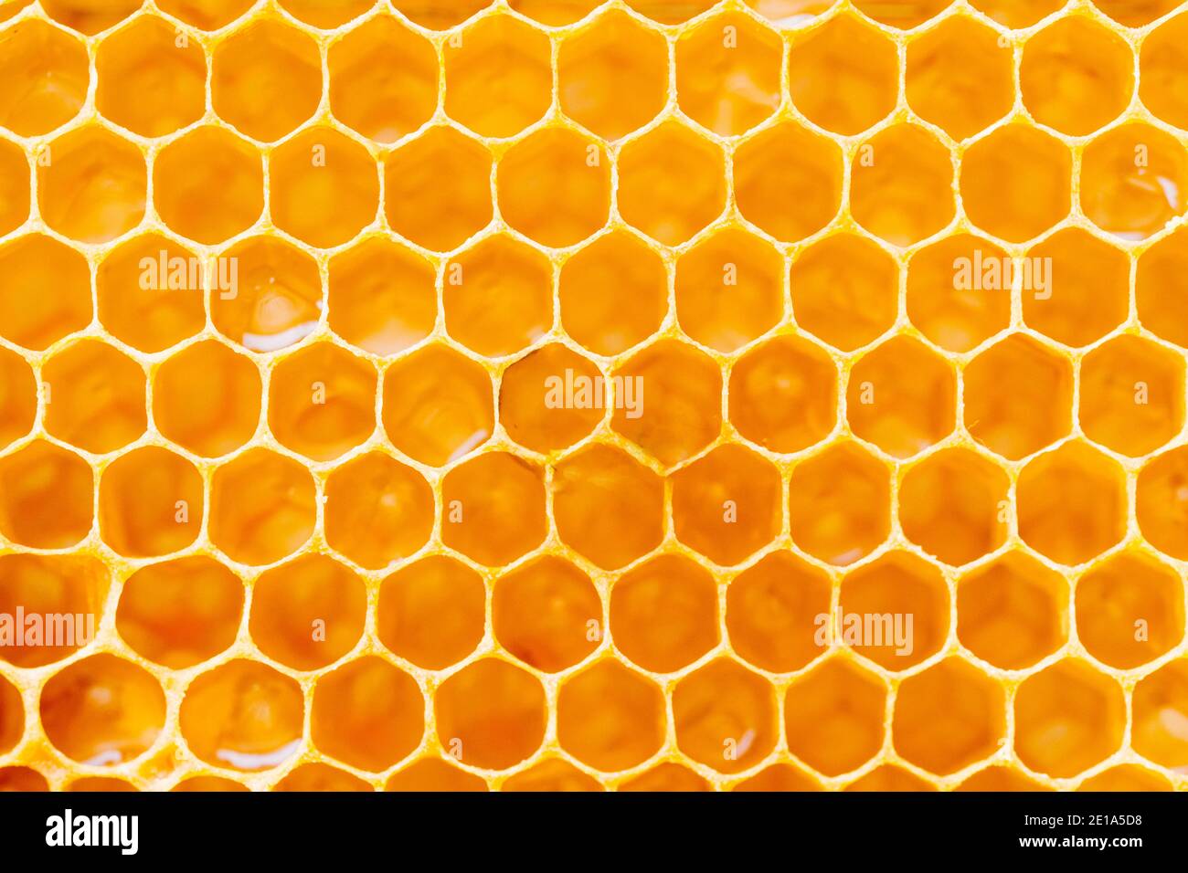 Beehive pattern hi-res stock photography and images - Alamy
