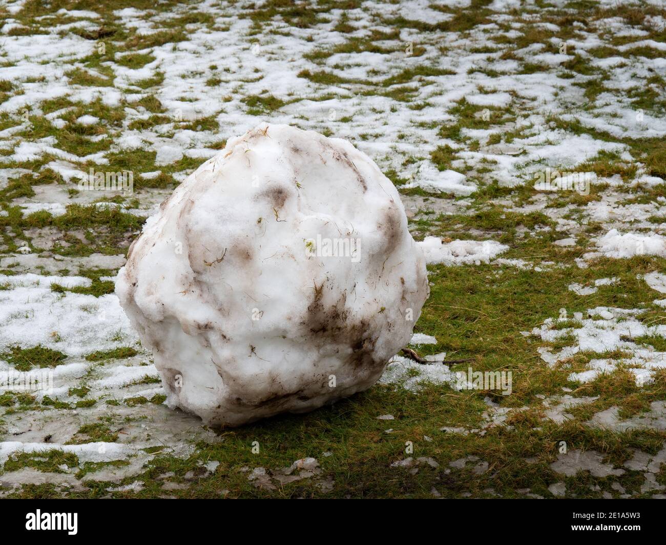 Large snowball left on grass after thaw Stock Photo - Alamy