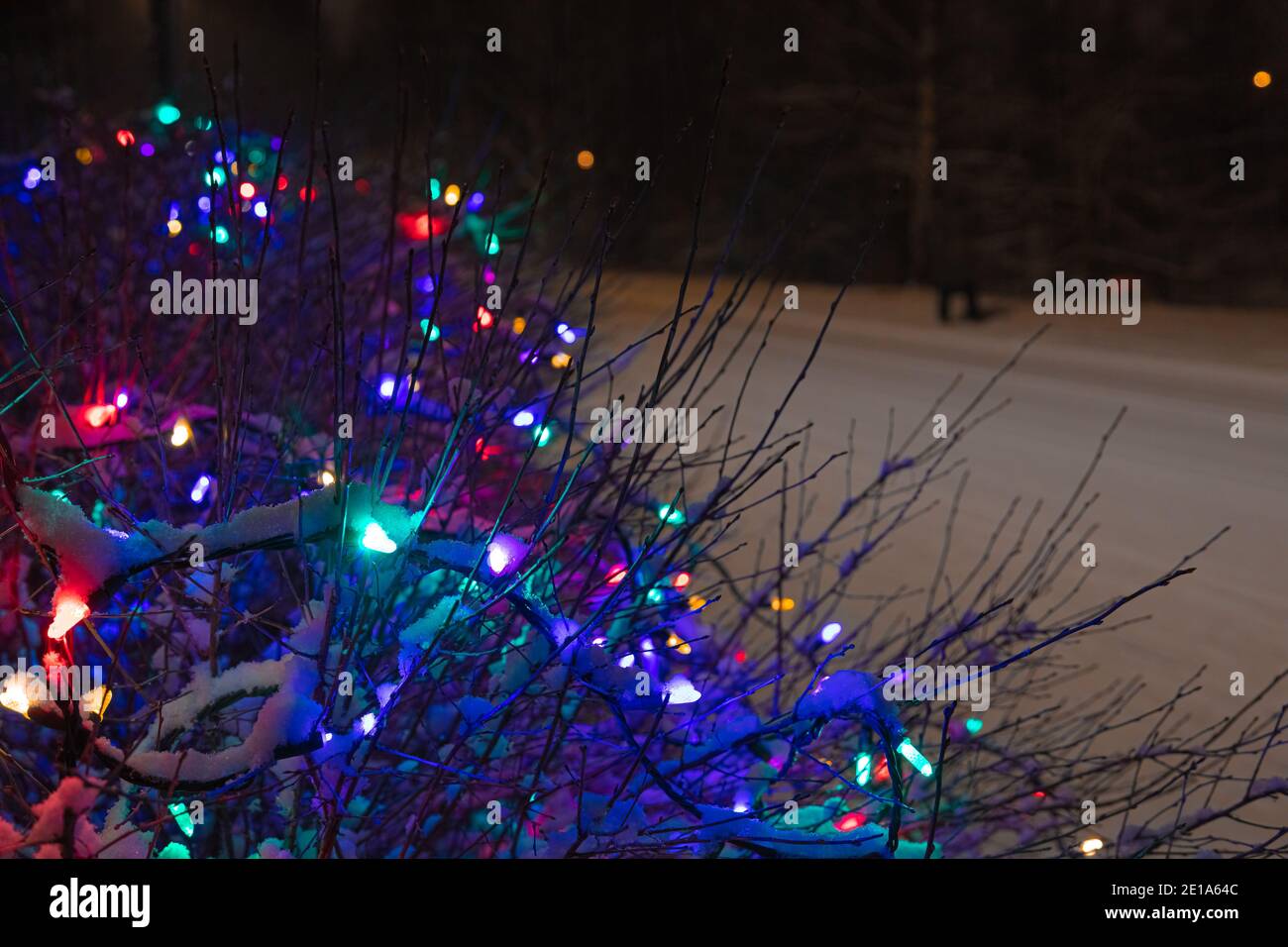 multicolored garland on the tree. .Natural snow background. Concept ...