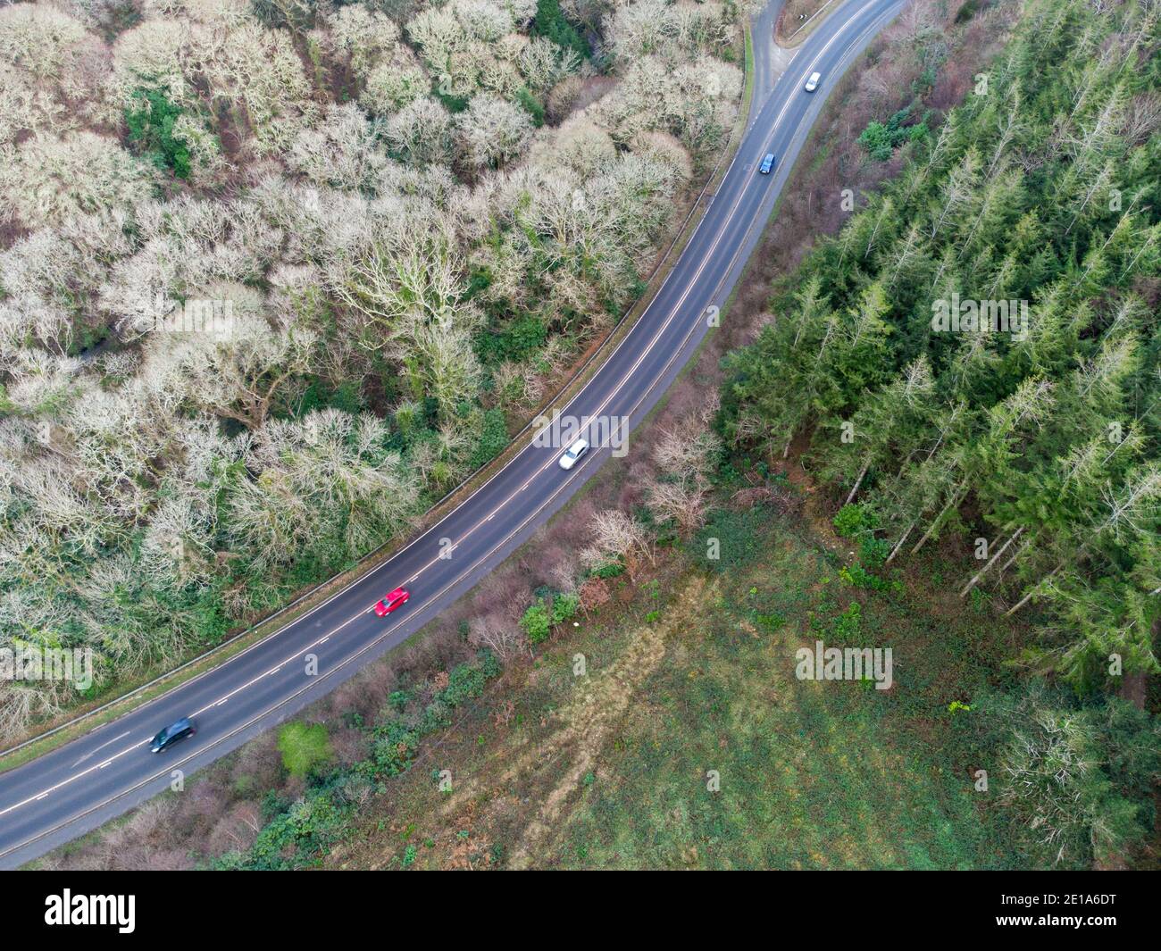 Aerial view rainforest uk hi-res stock photography and images - Alamy