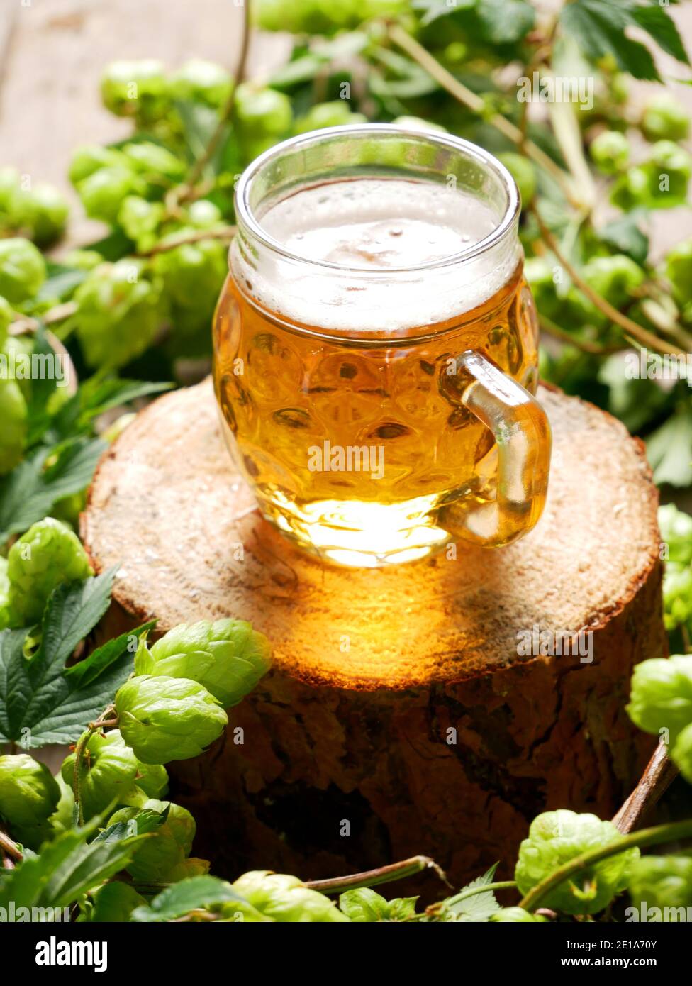 Light beer in a small mug on a wooden trunk in an arrangement with ...