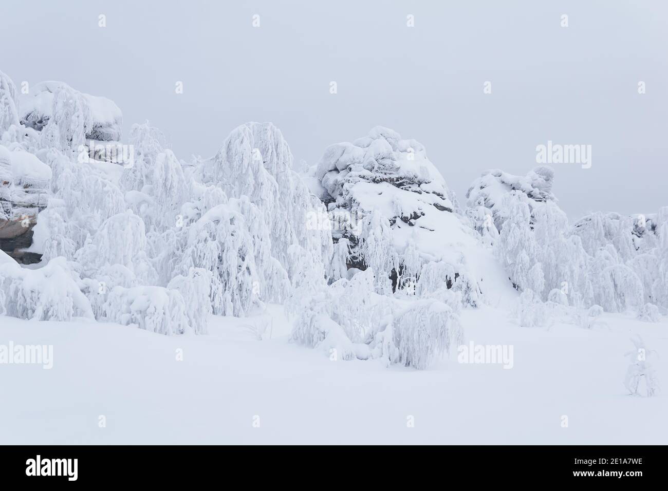 Leafless trees on ridge hi-res stock photography and images - Alamy