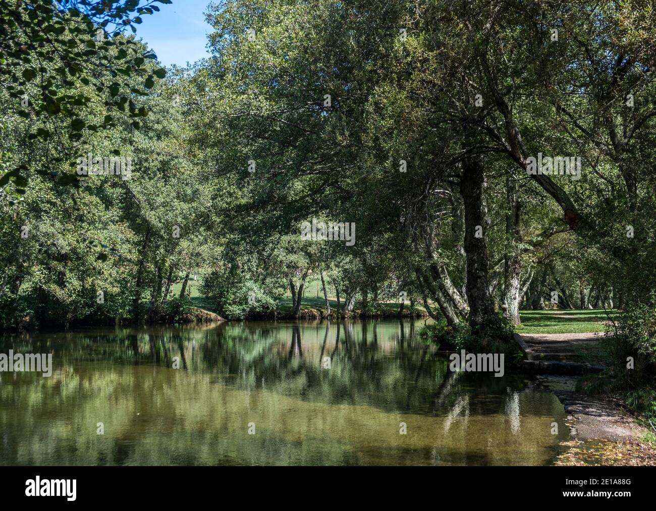 Trees reflecting on the still waters at Paredes de Coura River, in ...