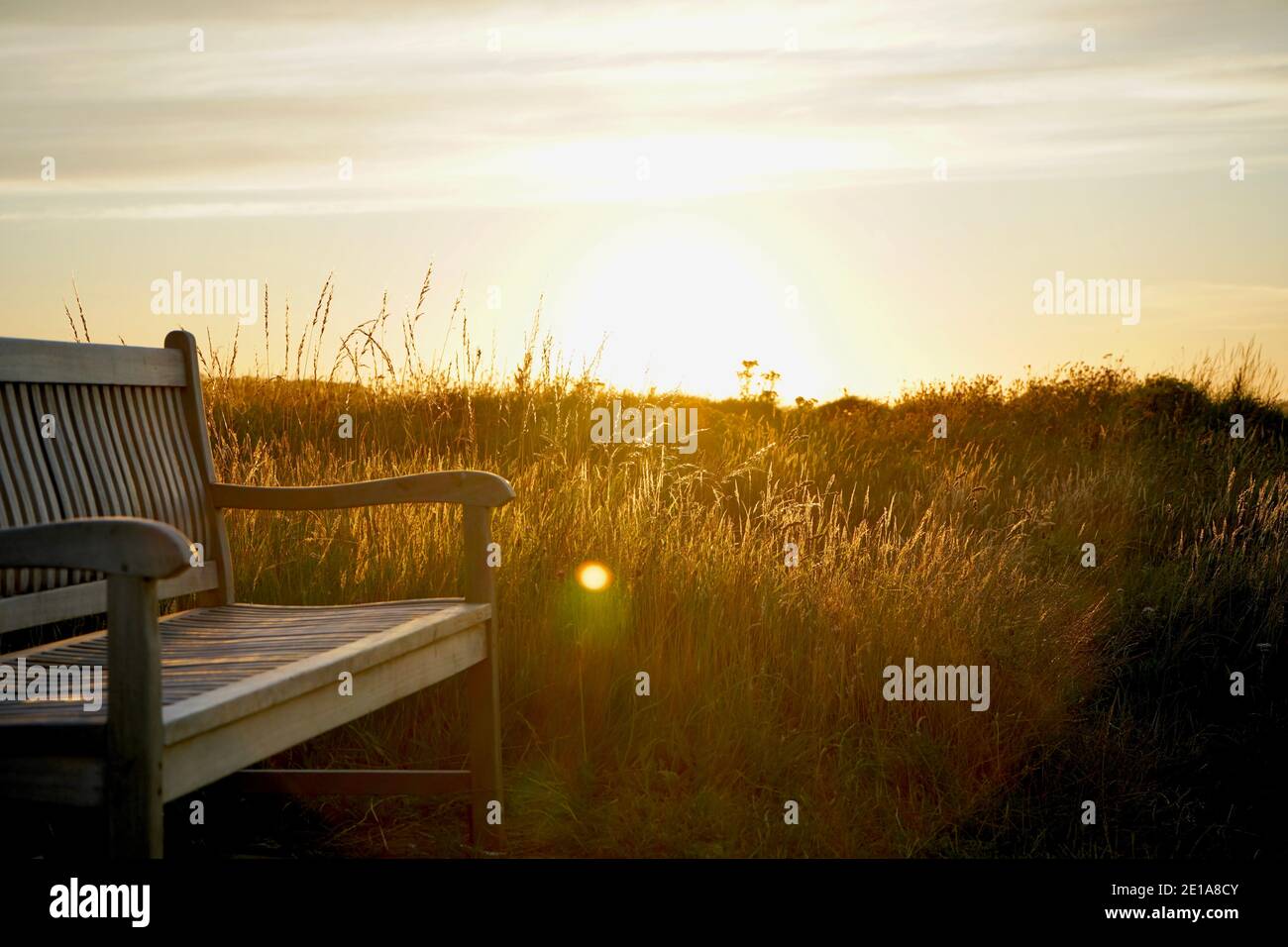 Bench shine hi-res stock photography and images - Alamy