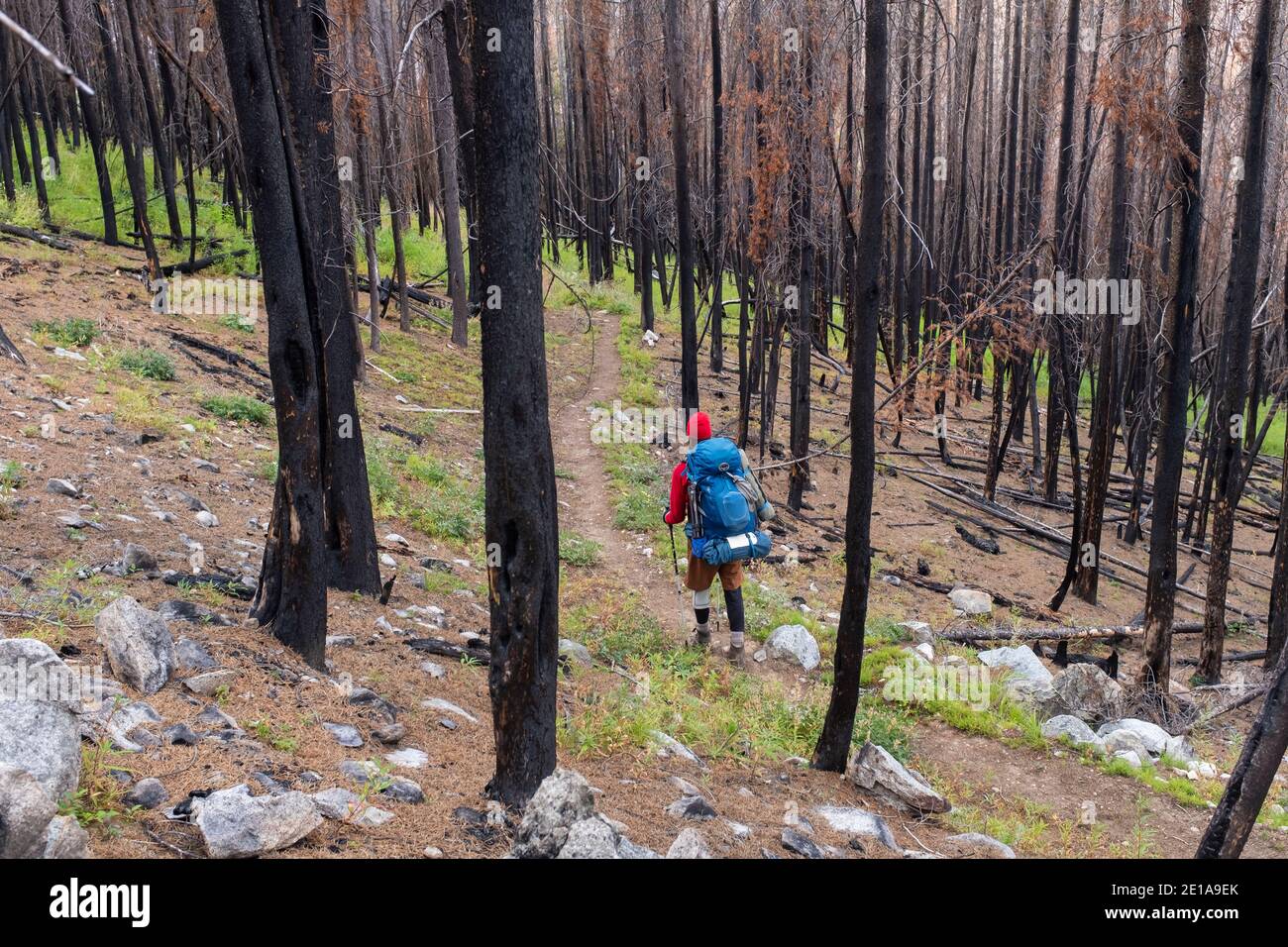 Boundary lines hi-res stock photography and images - Alamy