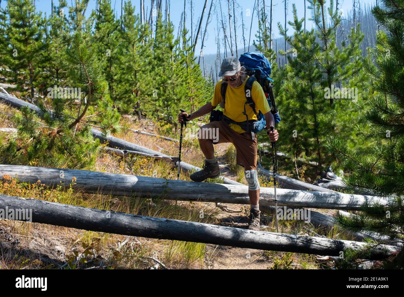 Stepping hill hi-res stock photography and images - Alamy