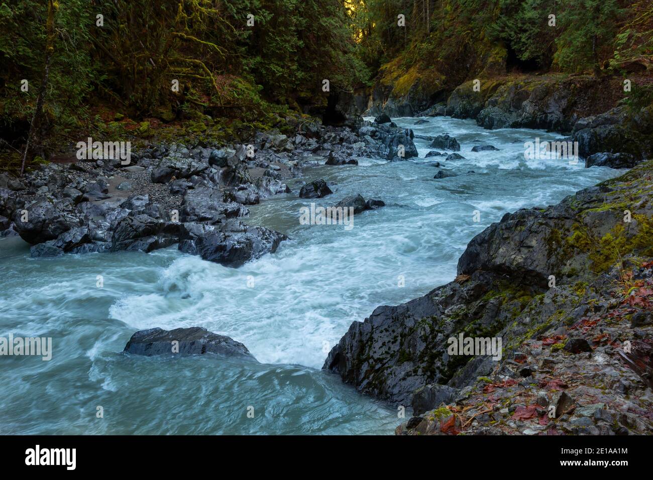 WA19010-00...WASHINGTON - The Stillaguamish River heading into a narrow ...