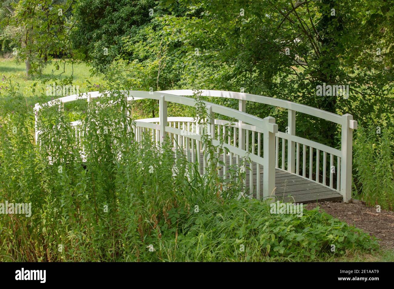 White wooden bridge in between natural planting and greenery seen at ...