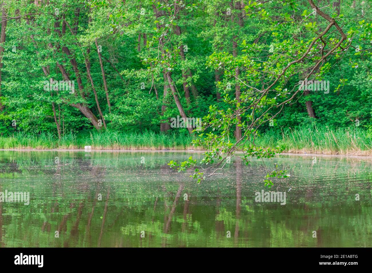 Beautiful scenery lake reflecting bright hi-res stock photography and ...