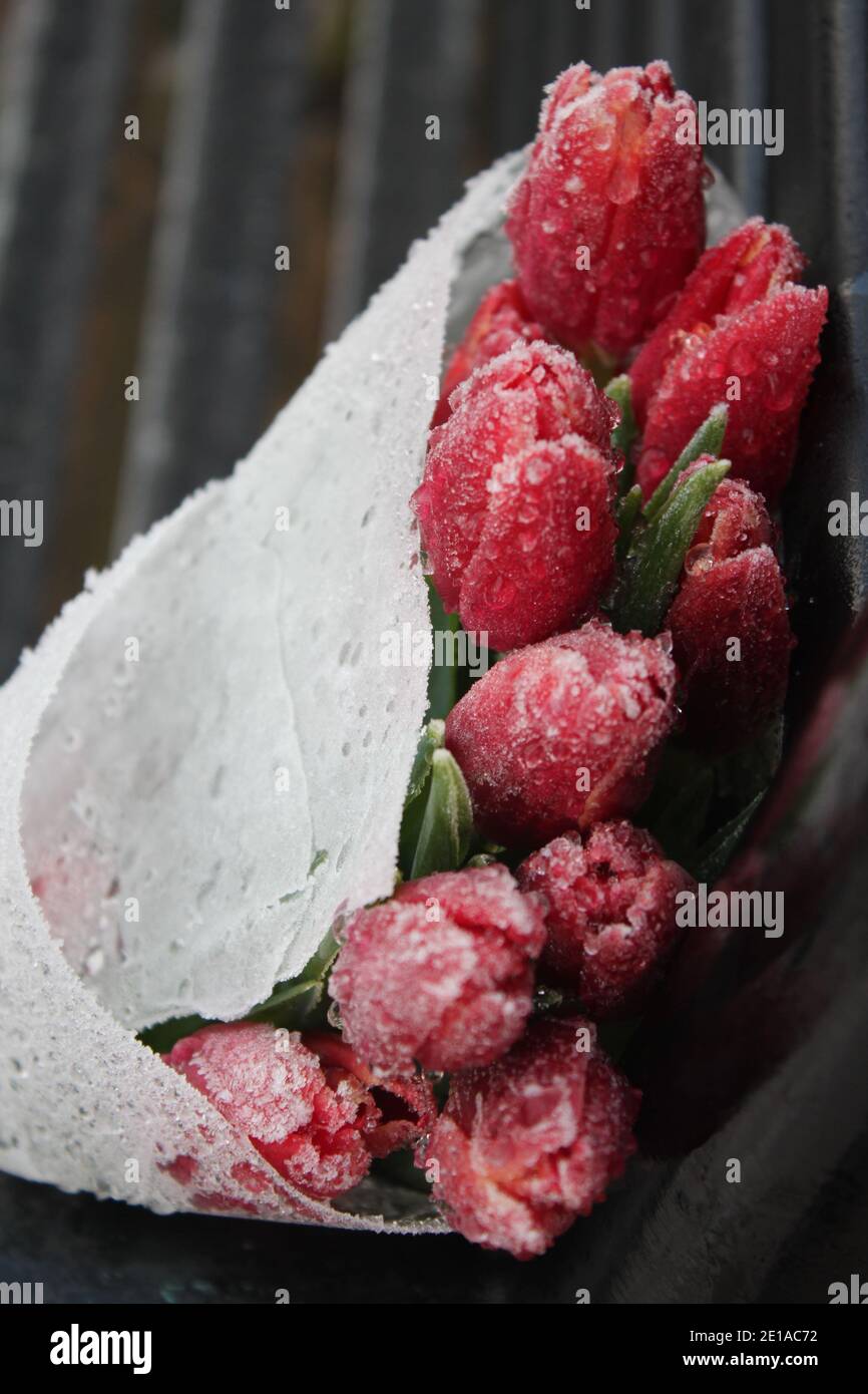 Flowers Memorial Bench High Resolution Stock Photography and Images - Alamy