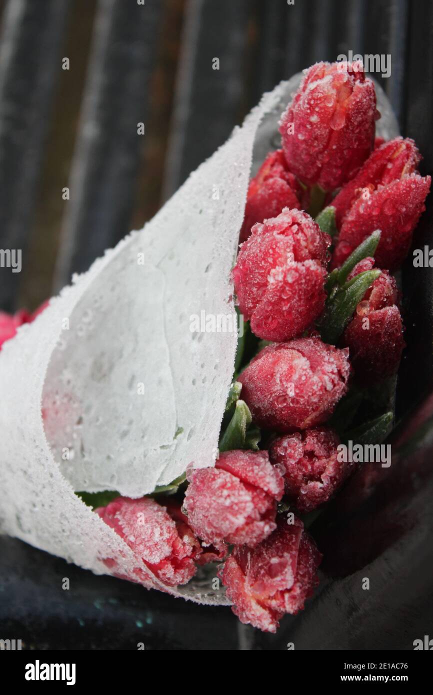 In loving memory flowers hi-res stock photography and images - Alamy