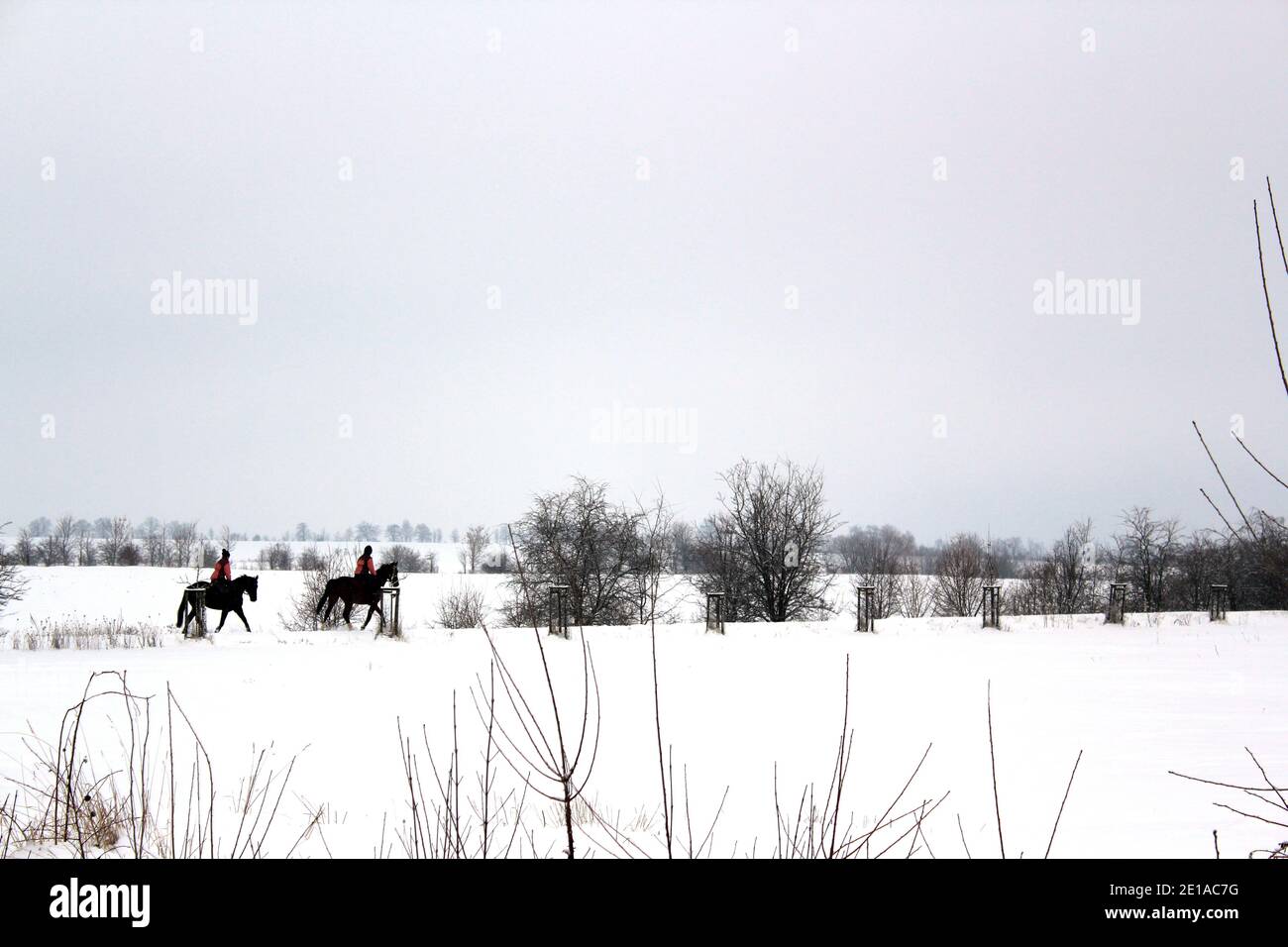 Two horseback riders in a field hi-res stock photography and images - Alamy