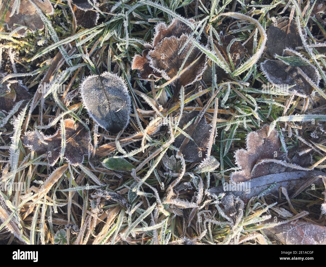 Iced ground hi-res stock photography and images - Alamy
