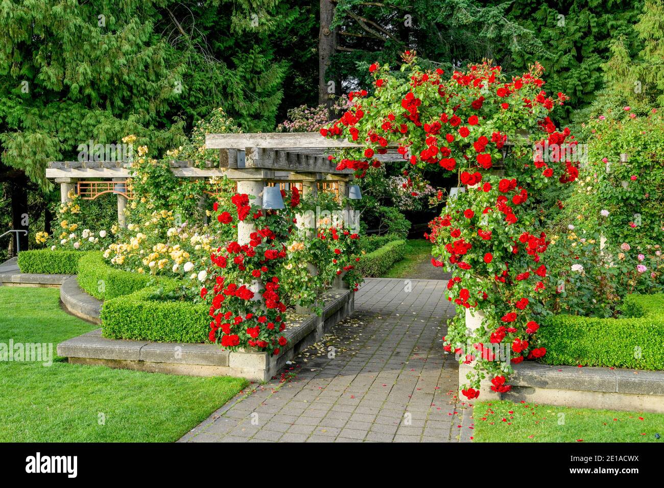 Ubc Vancouver Rose Garden High Resolution Stock Photography and Images ...