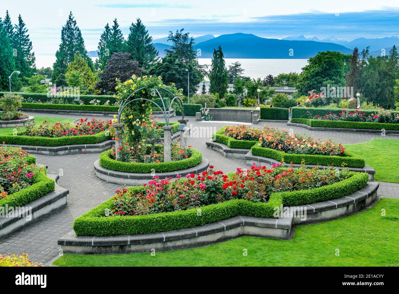 Ubc rose garden arbour roses hi-res stock photography and images - Alamy