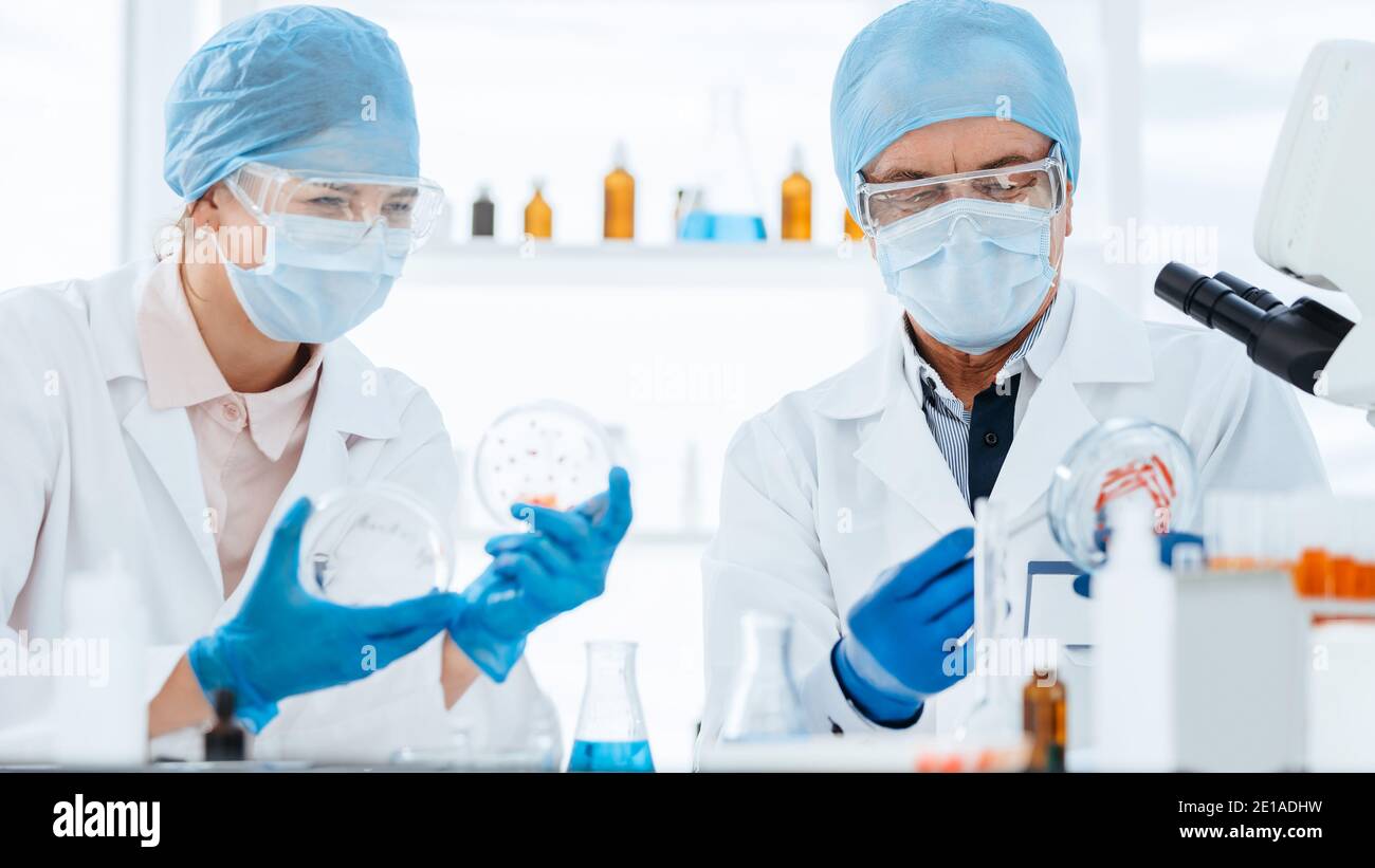 Microbiology scientists studying a new type of bacteria . science and ...