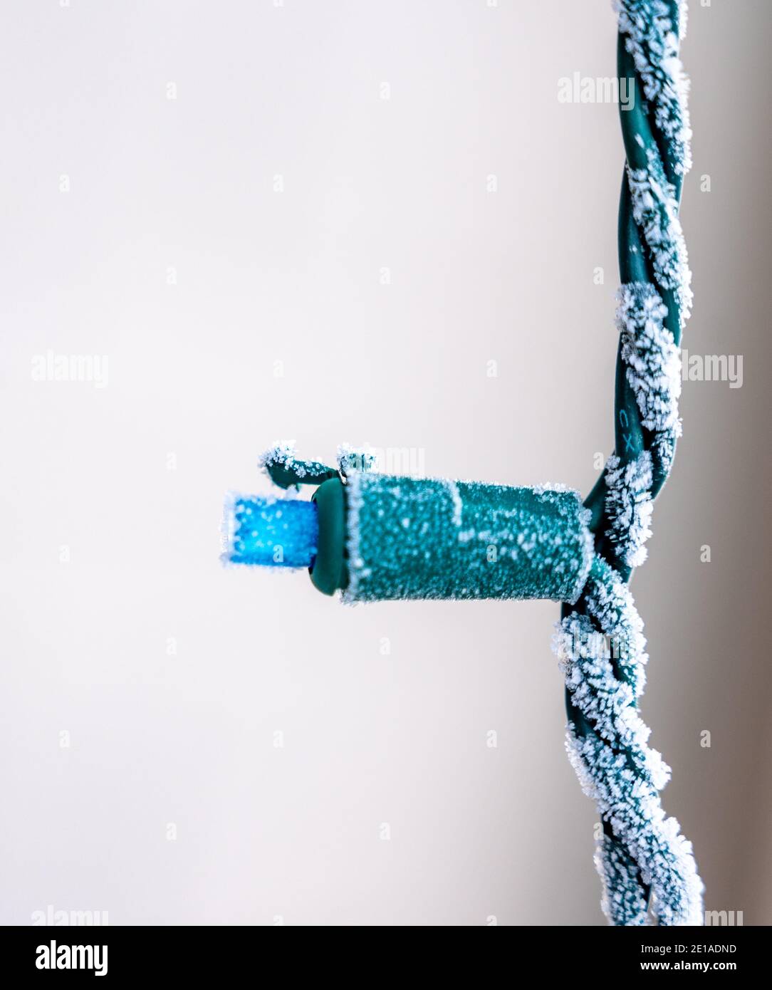 Morning frost on a string of Christmas lights with a blurred background ...