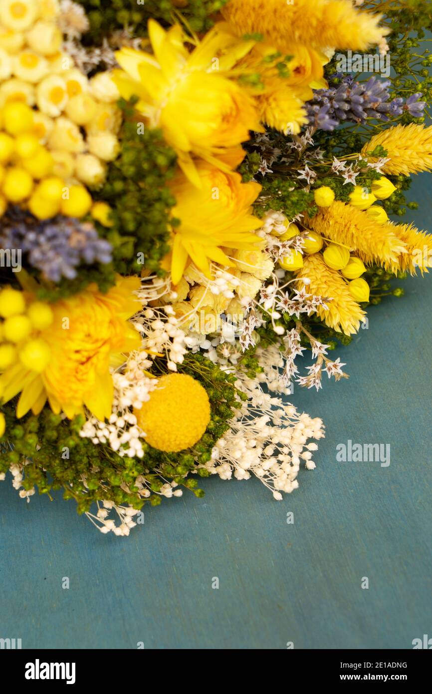 everlasting flowers in yellow color Stock Photo - Alamy
