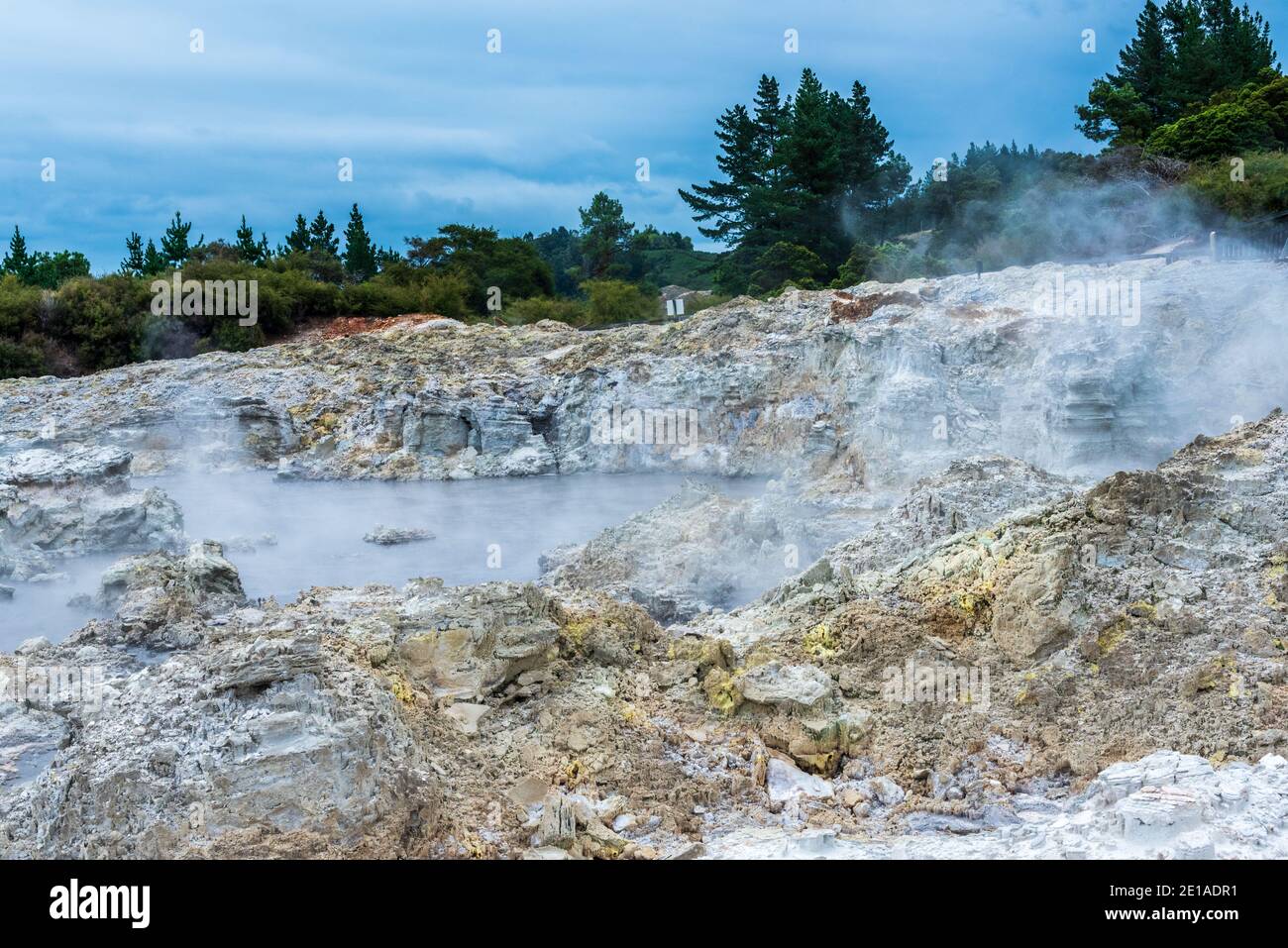 Hells gate geothermal park new zealand hi-res stock photography and ...