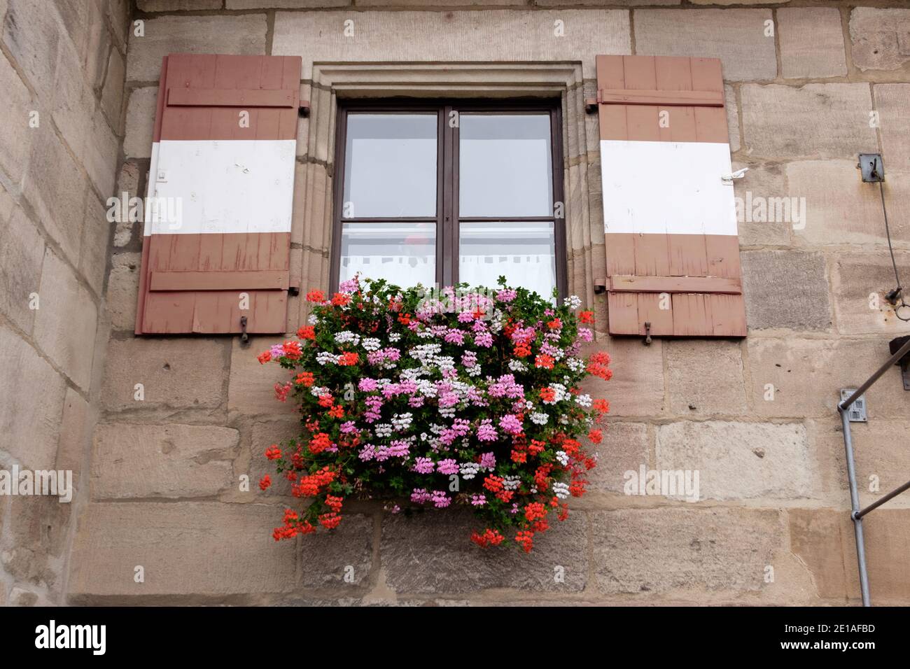 European style houses and flowers on the wall. Retro style window on ...