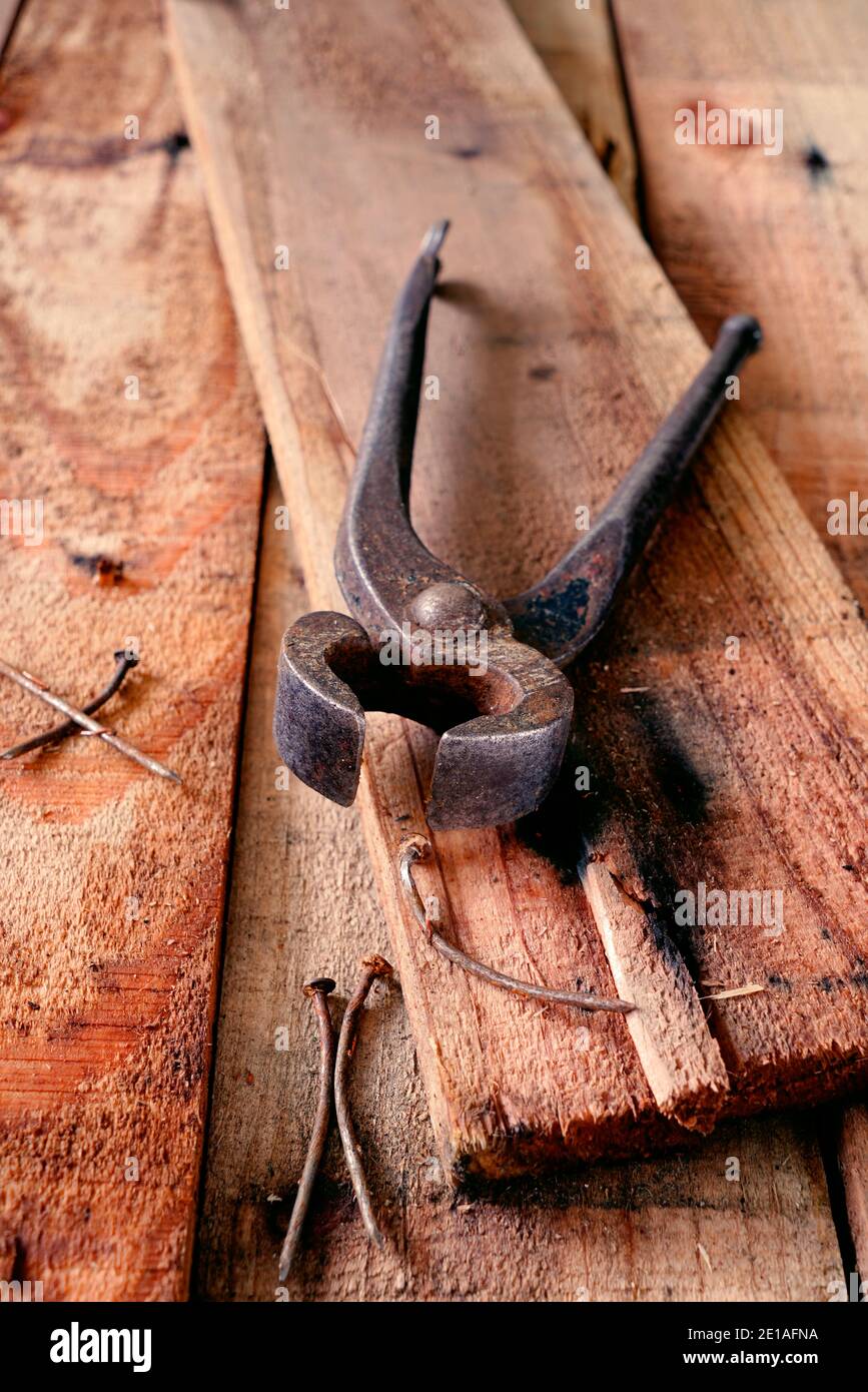 Pincers hi-res stock photography and images - Alamy